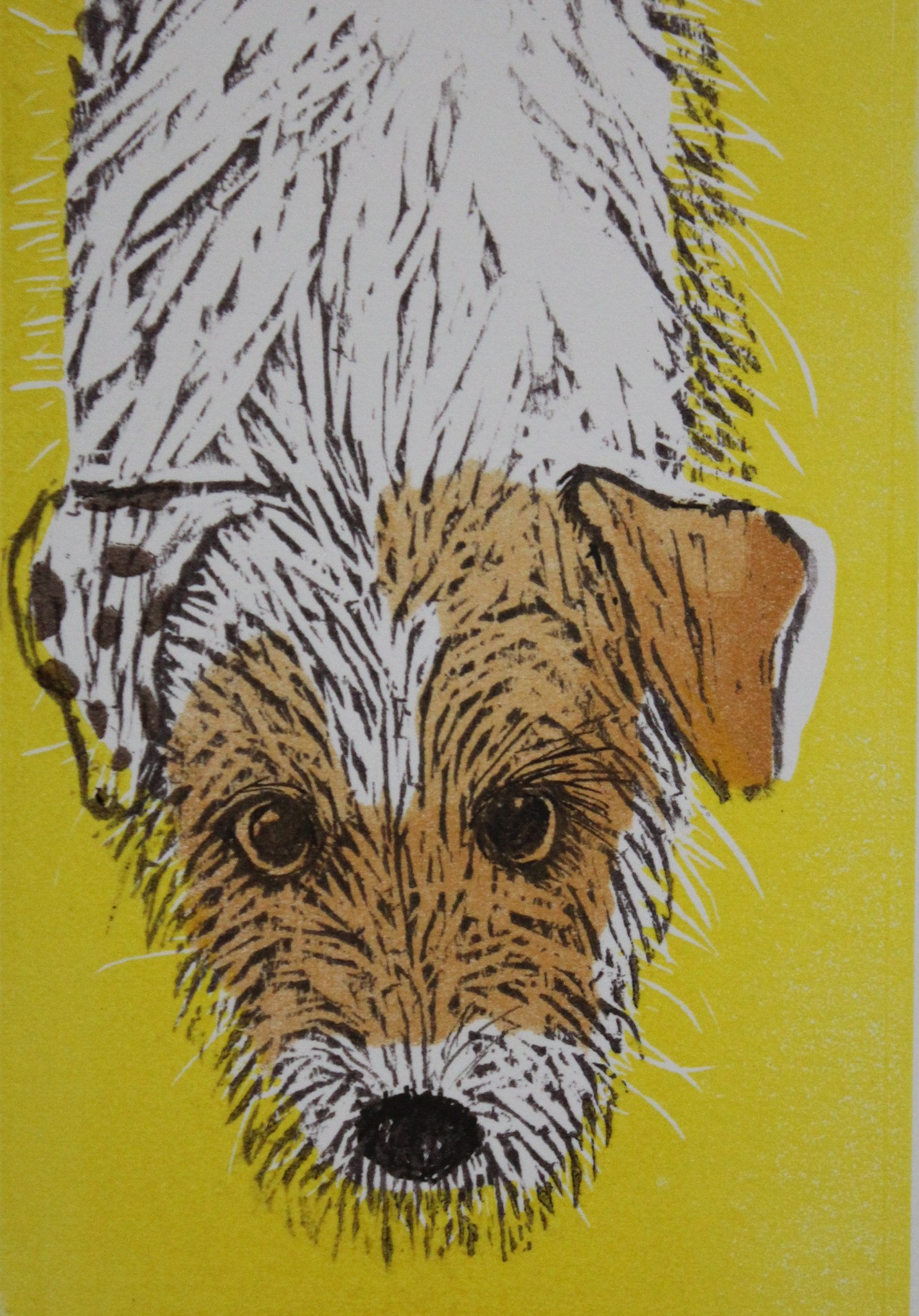 The last of the Parson Jack Russell series – John Richardson Lino Prints