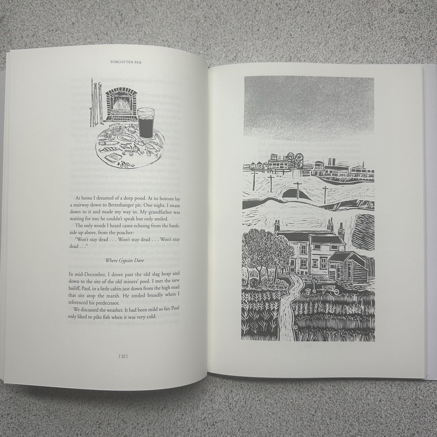 Forgotten Fen is published and available to buy – John Richardson Lino Prints