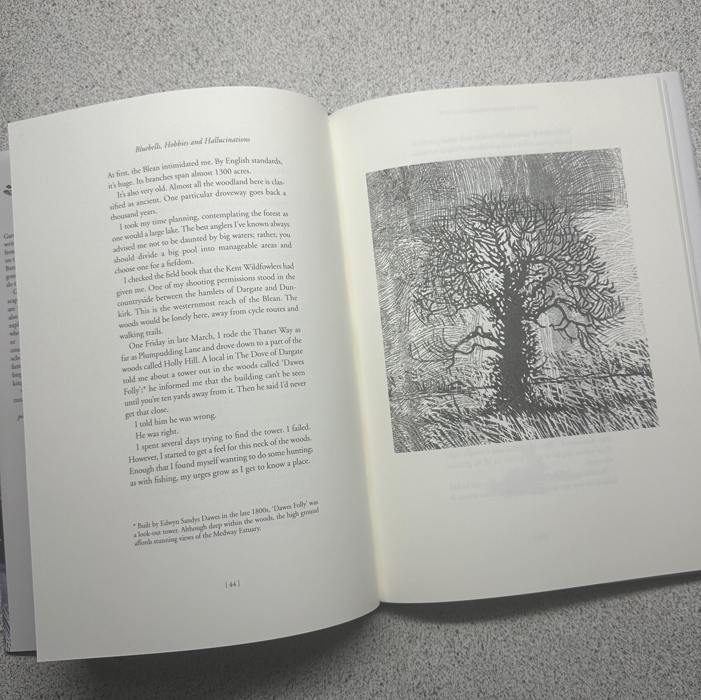 Forgotten Fen is published and available to buy – John Richardson Lino Prints